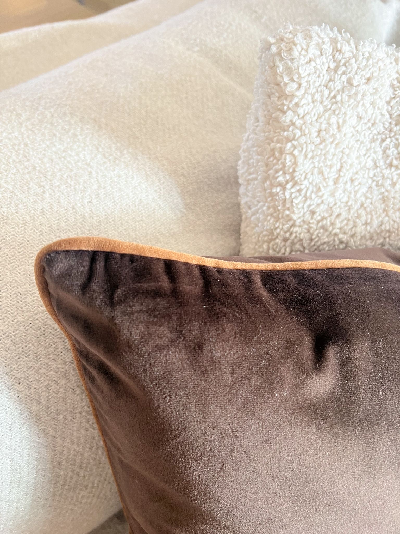 Luxury velvet cushion in chocolate brown with caramel edging ...